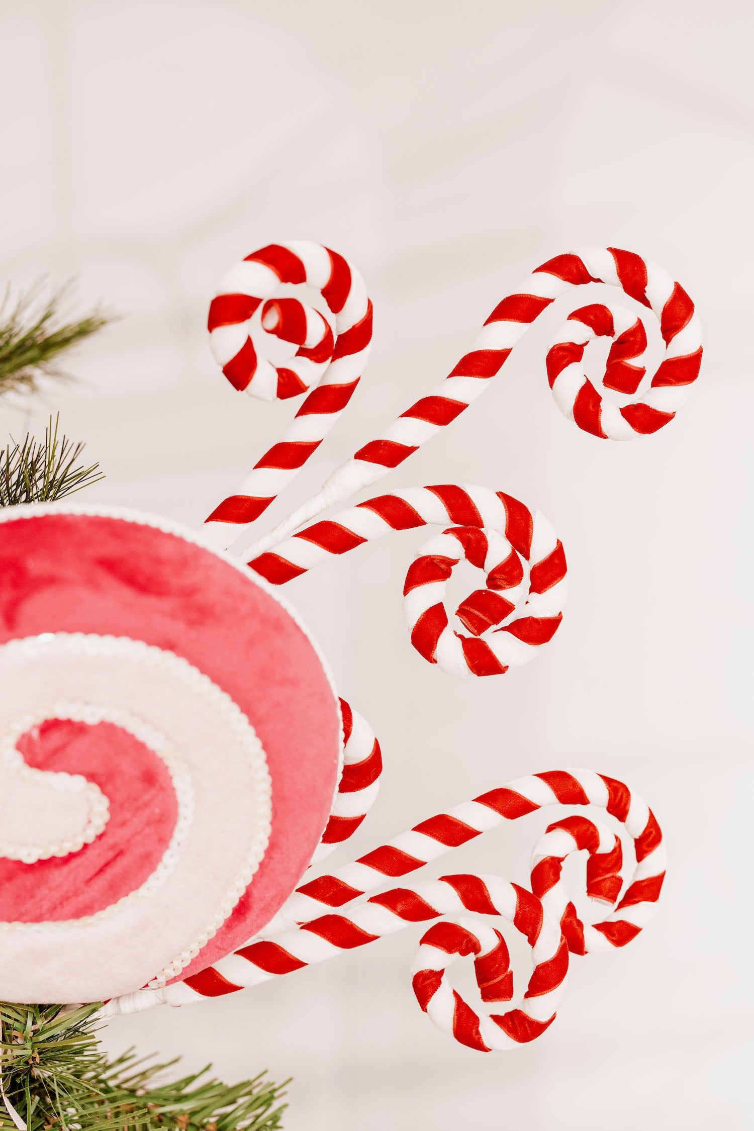 CANDY STRIPE PICK - GGF328 – Two Turtle Doves Australia